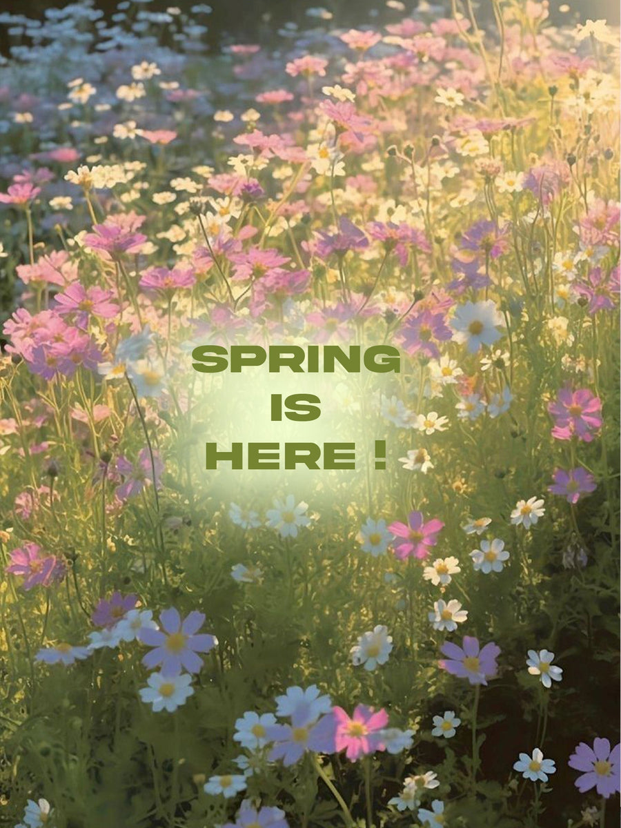 Bienvenida, Primavera: Las Chaquetas Clave para la Nueva Temporada ...
